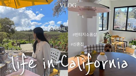 🇺🇸vlog 빈티지 소품샵 투어 미국직장인 삶의 장단점 와이너리 트레이더조 추천템 Youtube