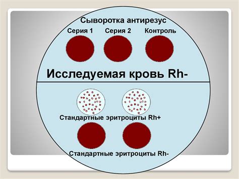 Переливание крови - презентация онлайн