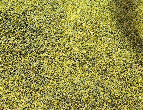 Fertilizer Herbicide Is One Of The Ktandt Landscape Llc Facebook