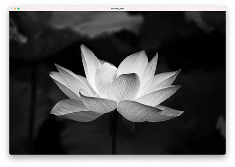 【opencv】画像の読み込みとグレースケール化、画像の保存[python] 3pysci
