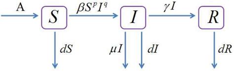 The Transmission Flow Diagram Of The R D Sir Model S I And R In This
