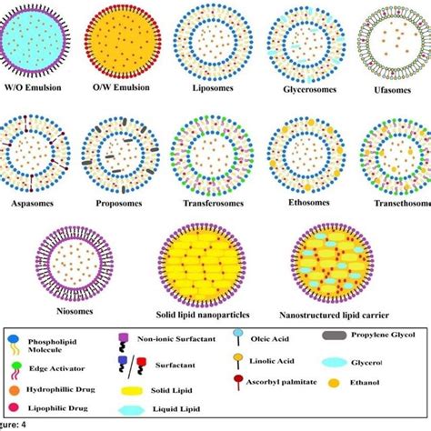 Structural Representation Of Various Lipid Based Nanocarrier Systems