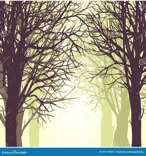Vector Background With Trees Stock Vector Illustration Of Shape Garden 45115364