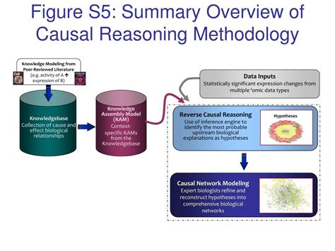 Ppt Figure S5 Summary Overview Of Causal Reasoning Methodology