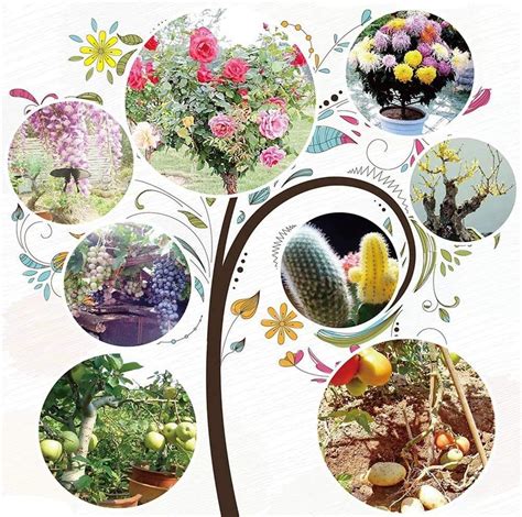 Cretee 2 In 1 Grafting Shear For Garden Tree Grafting And Pruning Tool With 3 Replaceable Blades