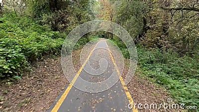 Riding A Bike Pov On An Autumn Bike Lane Stock Video Video Of Health Nature