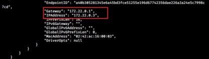 Setup Vulhub Lab For Hacking Practice Hackercool Magazine