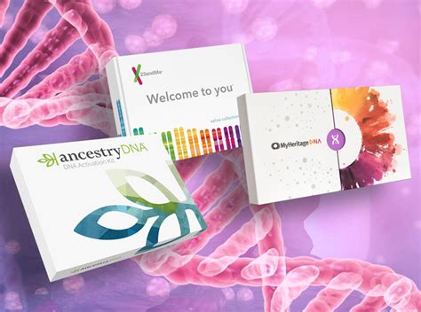 Reliability Of Dna Tests In Genealogy Genealab