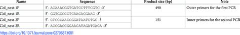 Nested PCR Primers Used In This Study Download Scientific Diagram