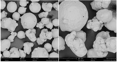 Fesem Morphology Analysis 500x Left And 1000x Right Magnification