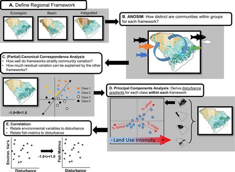 Diagram Showing The Sequential Analysis Used In This Study Download Scientific Diagram