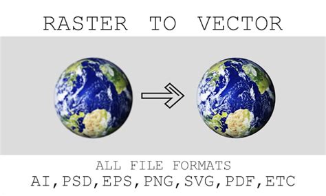 Convert Raster Image Logo Into Vector File By Noctua G Fiverr