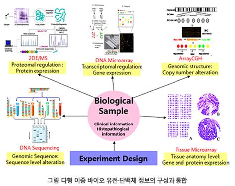 시스템 바이오 정보의학 국가핵심연구센터 홈페이지입니다