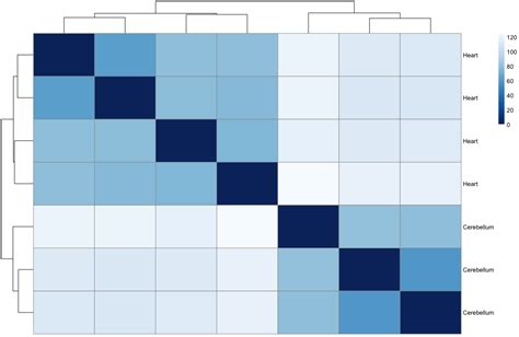 6 Using Deseq2 For Differential Expression Analysis