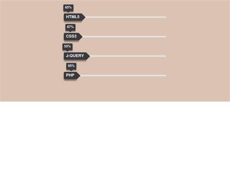纯css3个人技能进度条动画样式