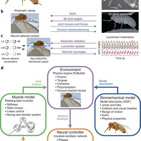 Data Driven Development Applications And Modularity Of Download Scientific Diagram