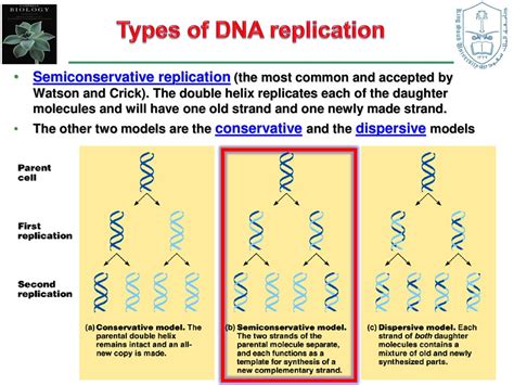 General Animal Biology Ppt Download