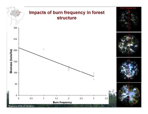 Spatial And Temporal Determinants Of Anthropogenic Forest Fires In Th…