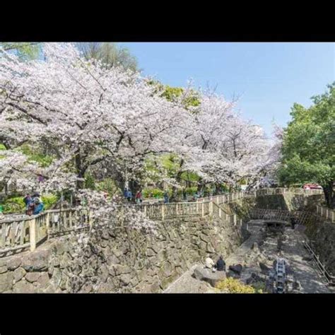 Otonashi Shinsui Park Itabashi Nerimaparks Live Japan