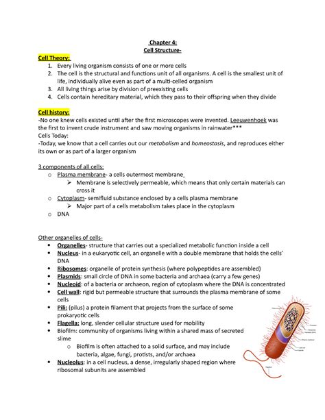 Chapter 4 Overall Study Guide For Cell Structure Cell Theory Cell History And Other