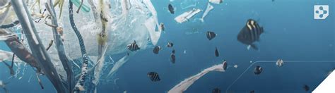 Scientific Seminar Challenges And Solutions In Microplastics Analysis Sample Control