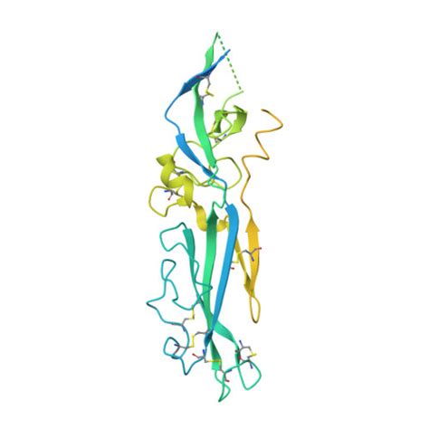 Rcsb Pdb 8wsu Crystal Structure Of Sftsv Gc And Antibody