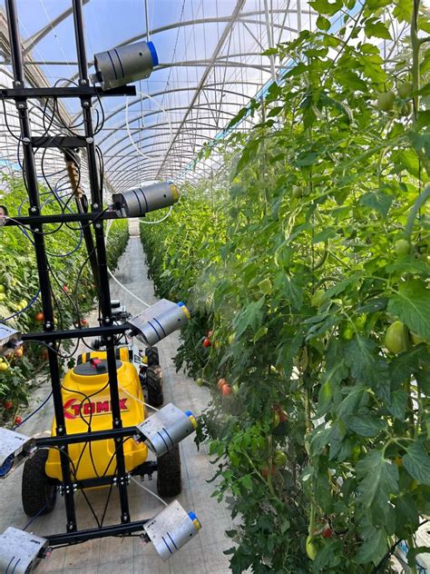 Eugénia Macieira Pereira Posted On Linkedin