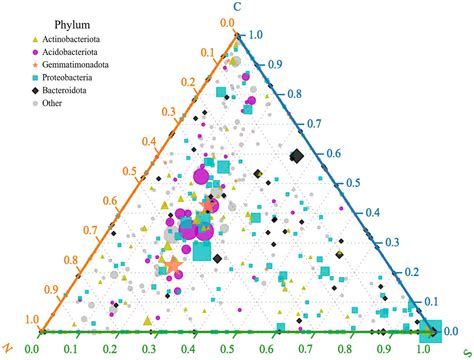 Frontiers Wilt Disease Reshapes Rhizosphere Microbiota In Small