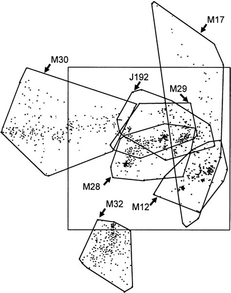 Minimum Convex Polygon Home Range Areas N 1047 Locations For Seven