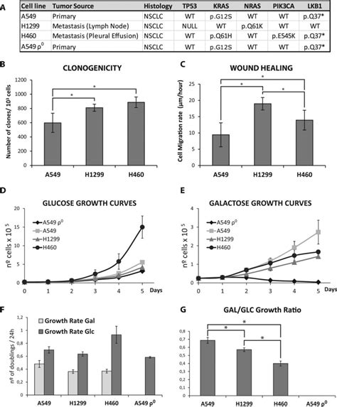 Nsclc Cell Lines A Tumor Source Of The Cell Lines Used In The Study