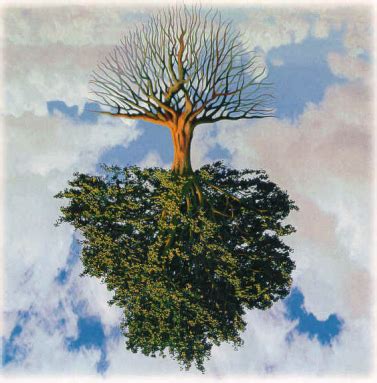 Tree Based Algorithms A Complete Tutorial In R And Python