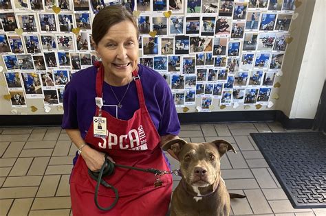 Spca Of Texas Spca Of Texas October Volunteer Of The Month Truly