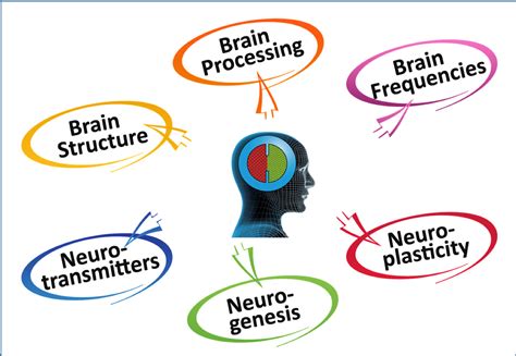 Complete Brain Upgrade Spiritual Intelligence