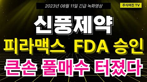 신풍제약 주가전망 지금 시장에서 신풍제약에 큰손 풀매수가 계속 들어오는 이유 9월 전 마지막 기회입니다 Youtube