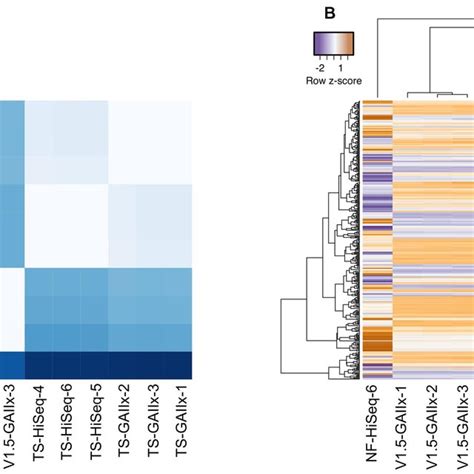 Current Small Rna Library Preparation Protocols And Features