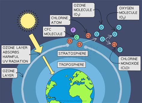 Ozone Layer Diagram Acp Opinion Stratospheric Ozone Depletion