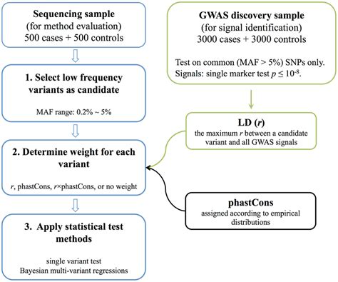 Workflow Of The Simulation Study Before Carrying Out These Steps A Download Scientific