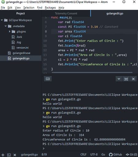 Best Free Golang IDE For Windows
