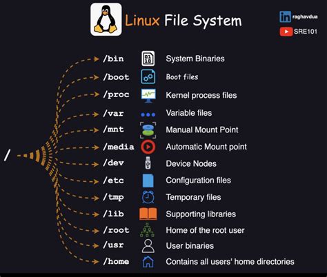 linux file system directories explained a thread mastering linux is