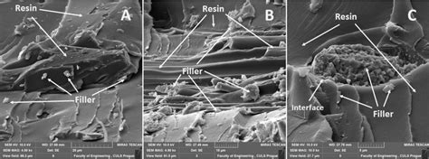Sem Micrographs Static Tensile Test Of Composite Materials A
