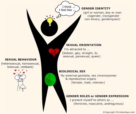 Sex Gender Orientation Graphic Christian Gays Articles Resources