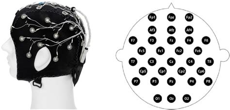 Brain Vision System Employed To Record Eeg Datasets And Electrode