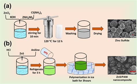 The Procedure Covering The Synthesis Pathway Of A Zns And B Znspani