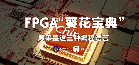 The Three Programming Languages That Make Fpga So Powerful Boardor