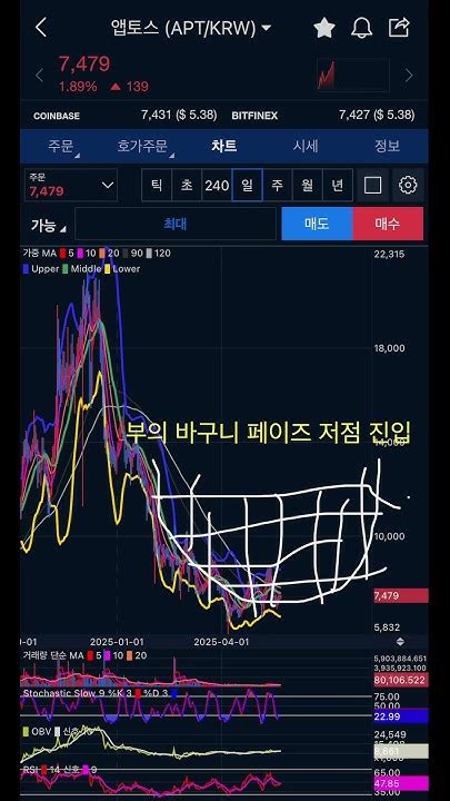 앱토스 부의 바구니 코인 앱토스 Apt 코인투자 부의바구니 코인왕조시커 무관심코인 Youtube