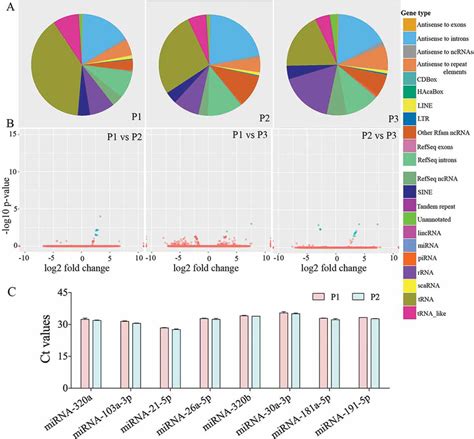Small RNASequencing Showed A Comparable Composition Of Small RNAs In Download Scientific