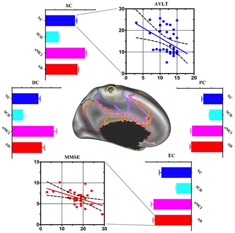 Post Hoc Cluster Level Analyses In The Left Somatomotor Network