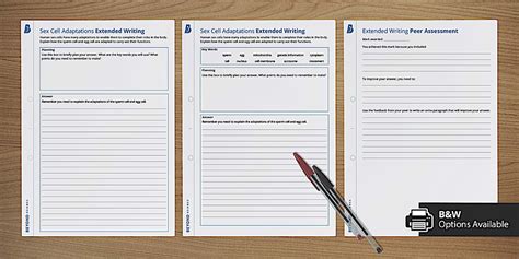 Ks3 Sex Cell Adaptations Extended Writing Task Beyond Ks3 Sex Cell Adaptations Extended Writing Task Beyond