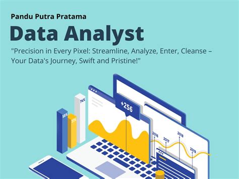 Accurate Data Entry And Analysis With Fast Flexible Skilled Expertise