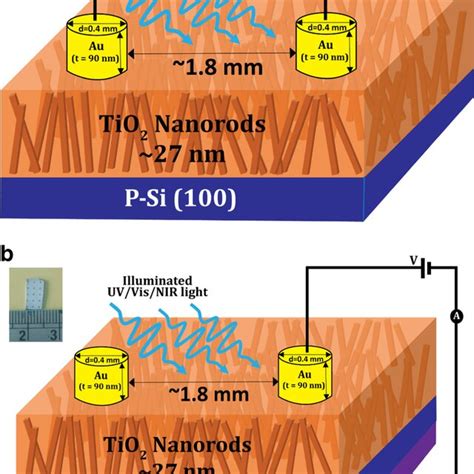 Schematic Illustration Of The Fabricated A Au Tio2 Nanorods P Si